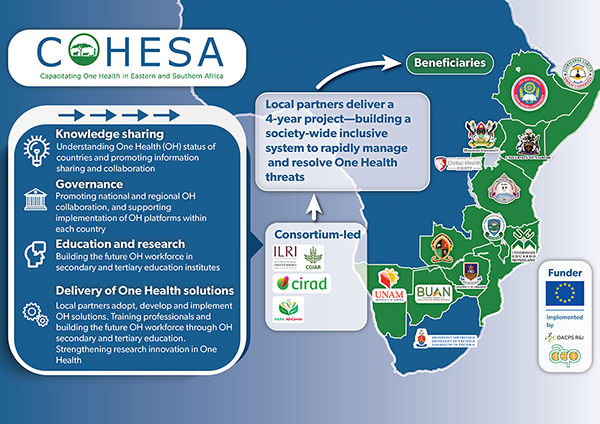 Capacitating One Health in Eastern and Southern Africa (COHESA)
